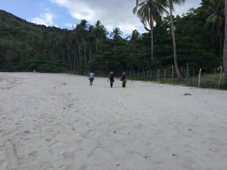 Wyspa na sprzedaż, El Nido, Palawan, Filipiny (MD10878734), Mondinion ...