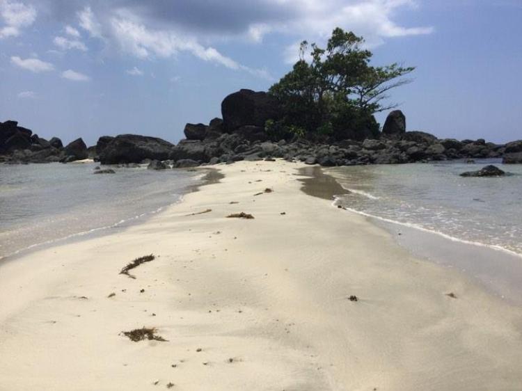 Wyspa na sprzedaż, El Nido, Palawan, Filipiny (MD10878734), Mondinion ...